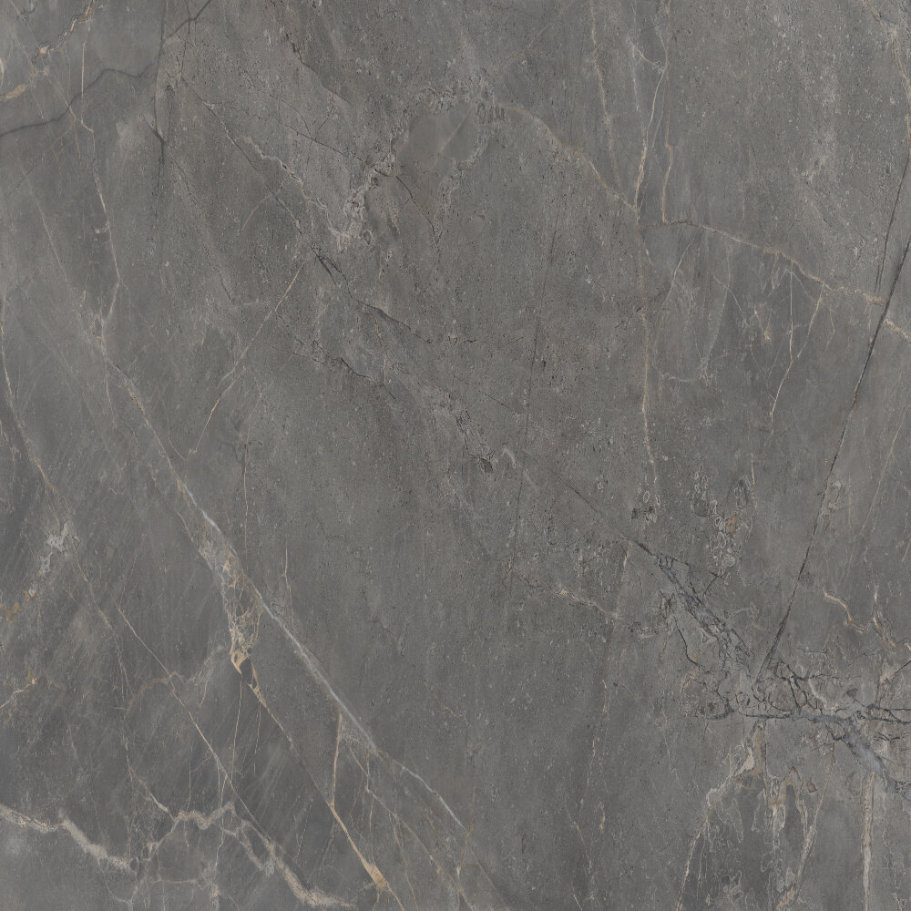 Rain Grey Porselen Plaka | Doğal Gri Taş Dokulu Mat Yüzey